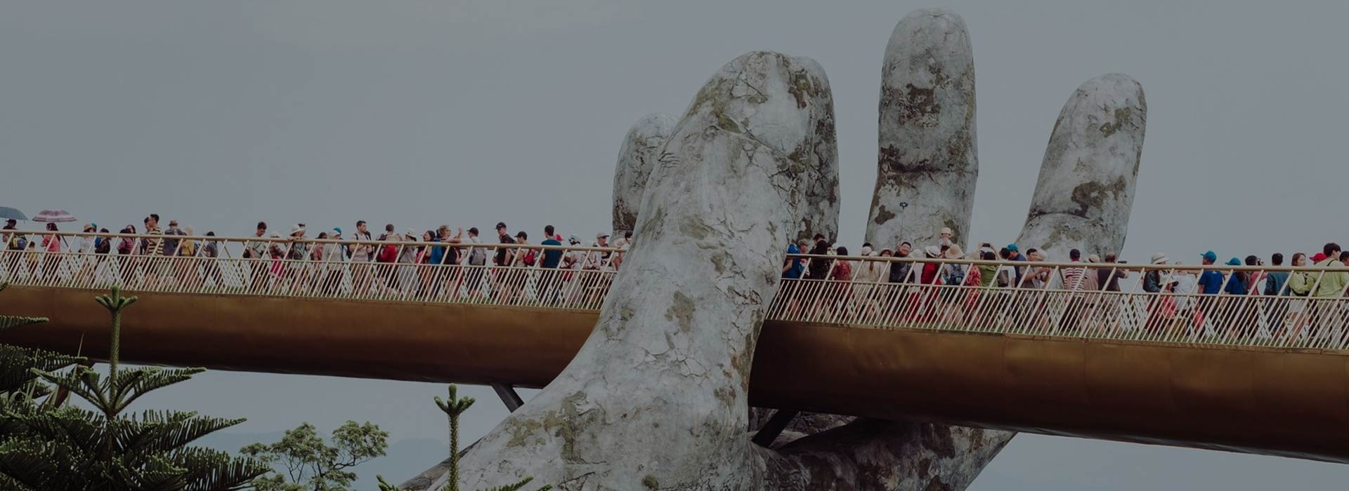 About Us – Planet Vibes DMC