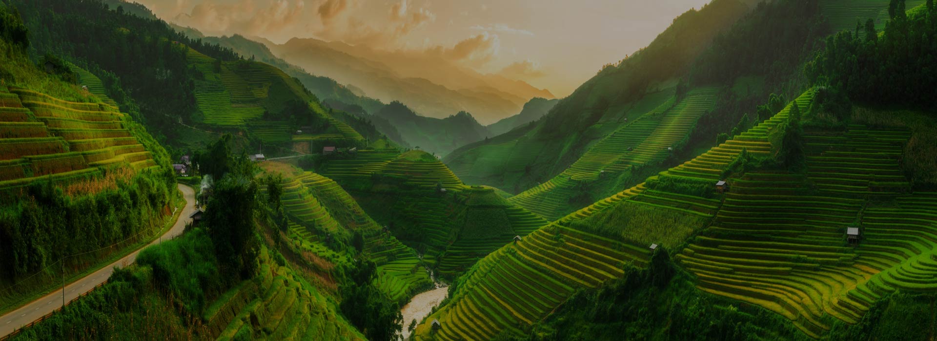 Mice – Planet Vibes DMC